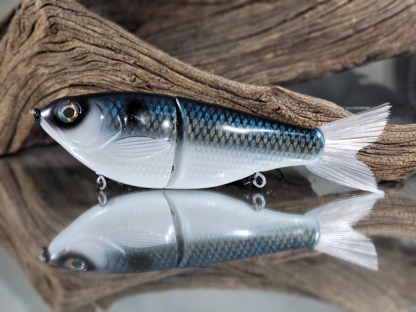 Fat Belly Shad - Sexy Shad – Clyde's Cranks