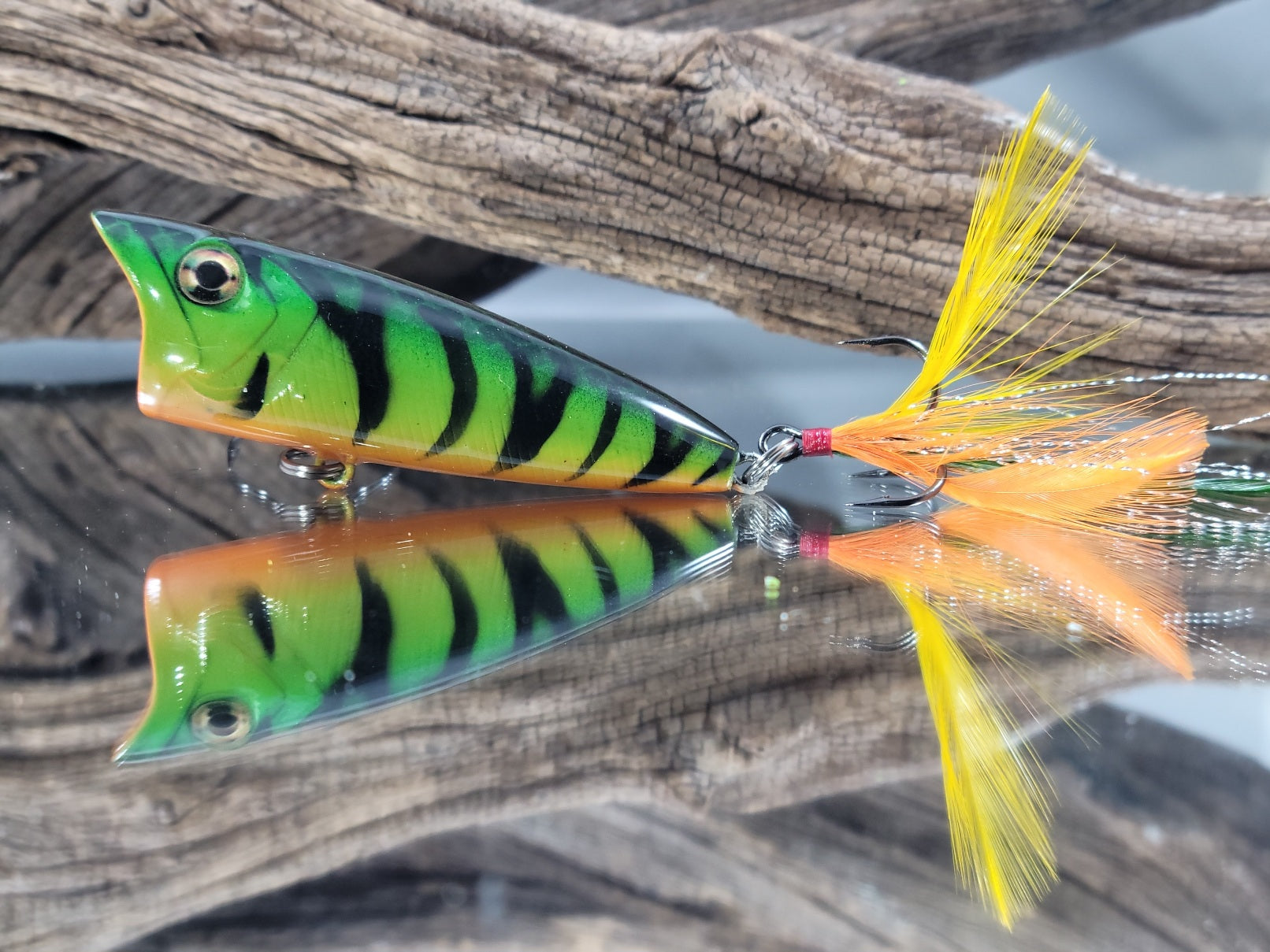 Louder 70 style popper - Fluoro Fire Tiger – Clyde's Cranks